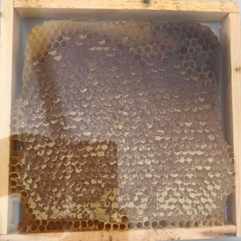 Organik Karakovan Balı – İçoğlu Organik Bal